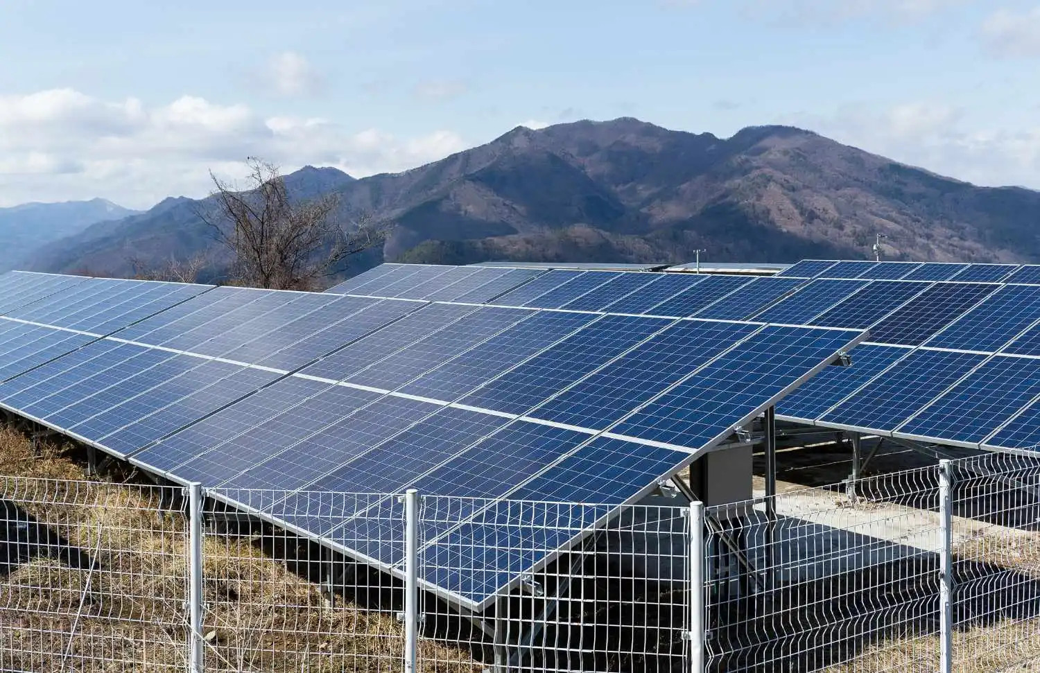 Kenya's Increasing Adoption of Captive Solar Power Solutions